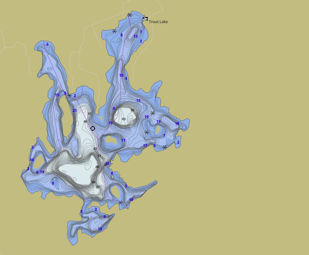 Trout Lake - (McDougall)