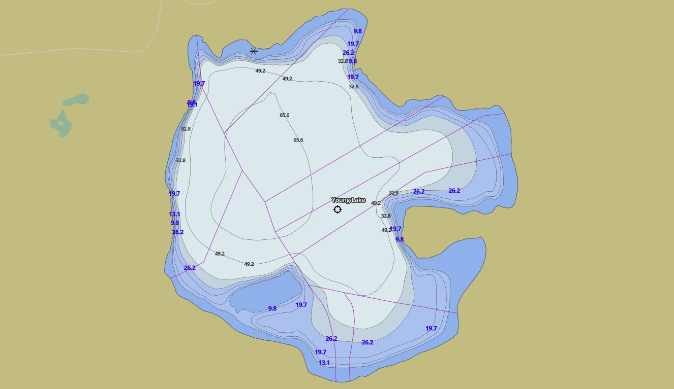 Young Lake - (Muskoka Lakes)