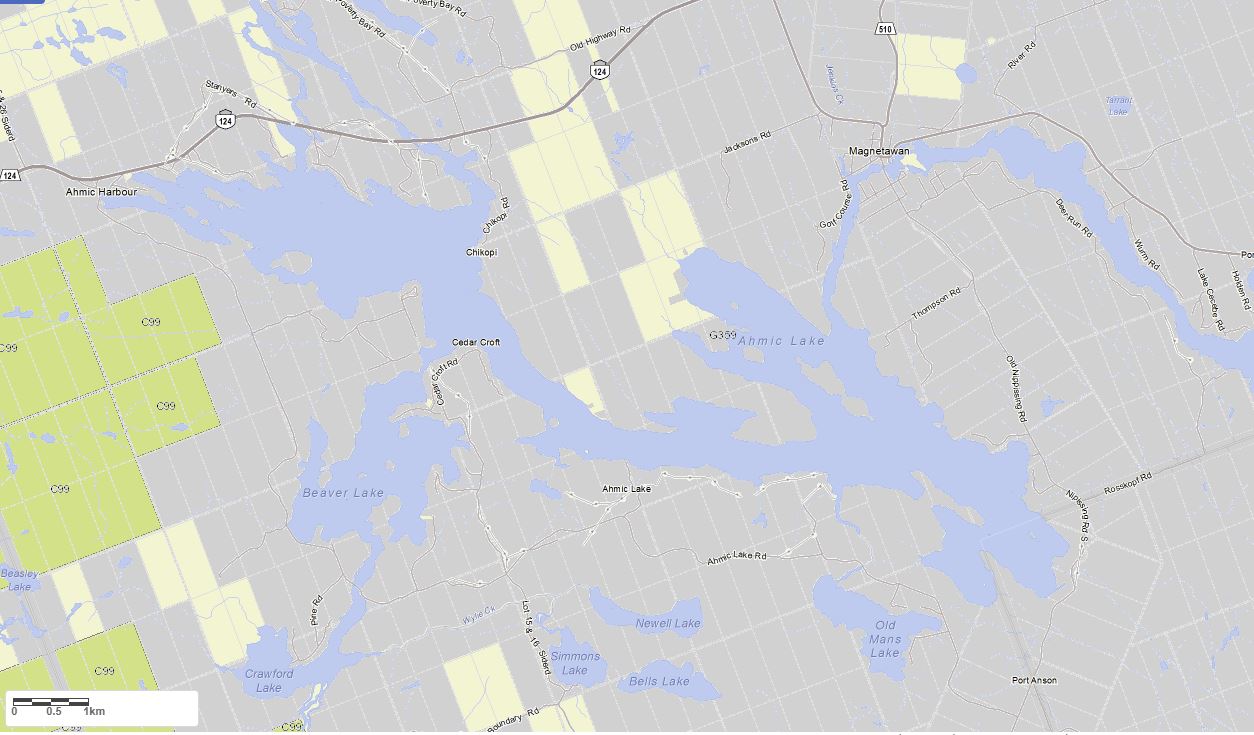 Ahmic Lake - (Ryerson)