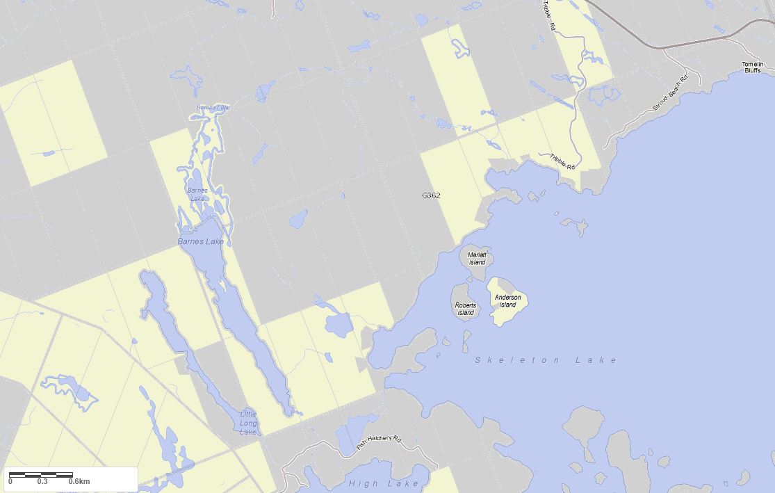 Barnes Lake - (Muskoka Lakes)