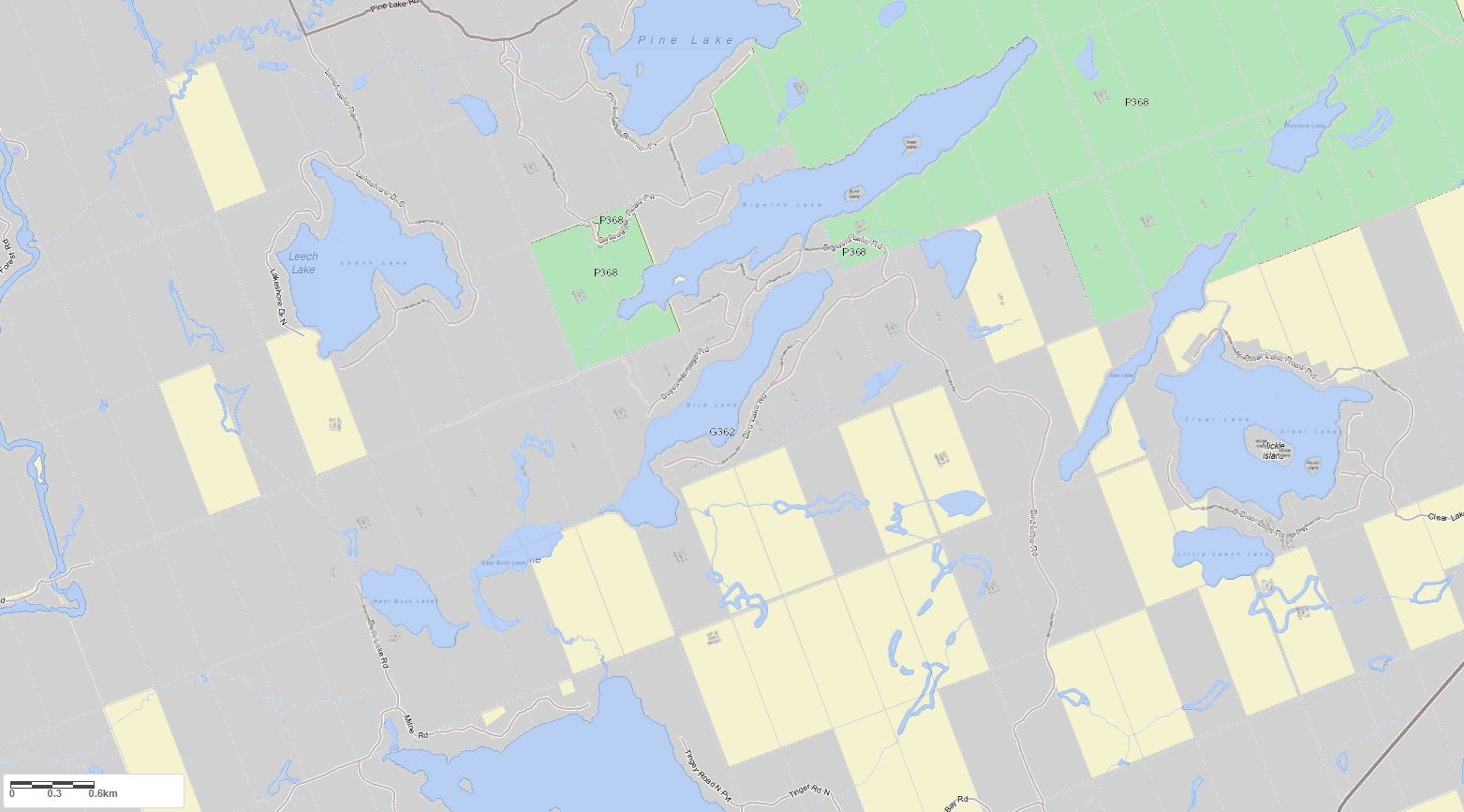 Bird Lake - (Bracebridge)