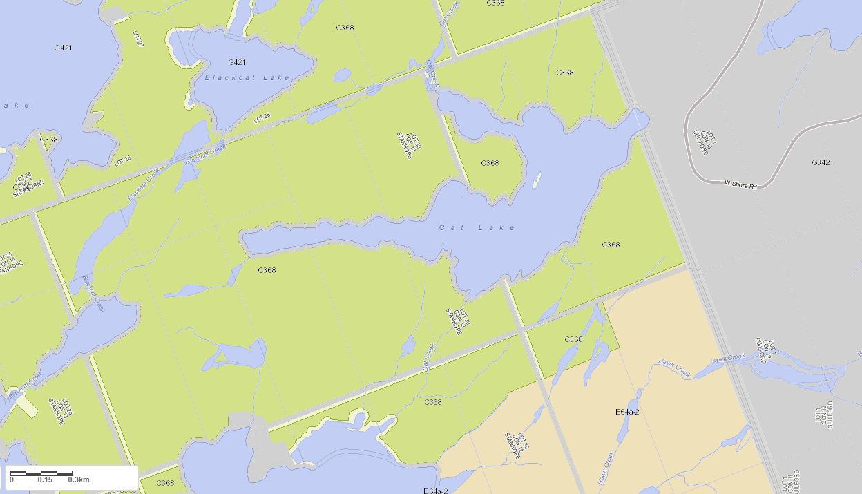 Cat Lake - (Algonquin Highlands)