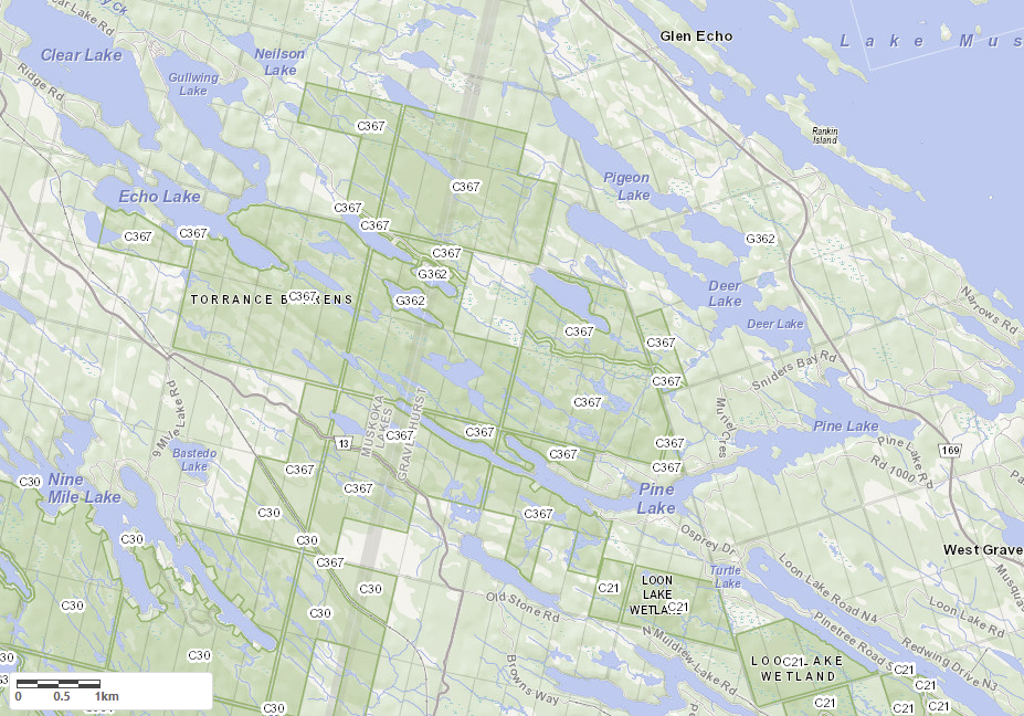 Deer Lake - (Gravenhurst)