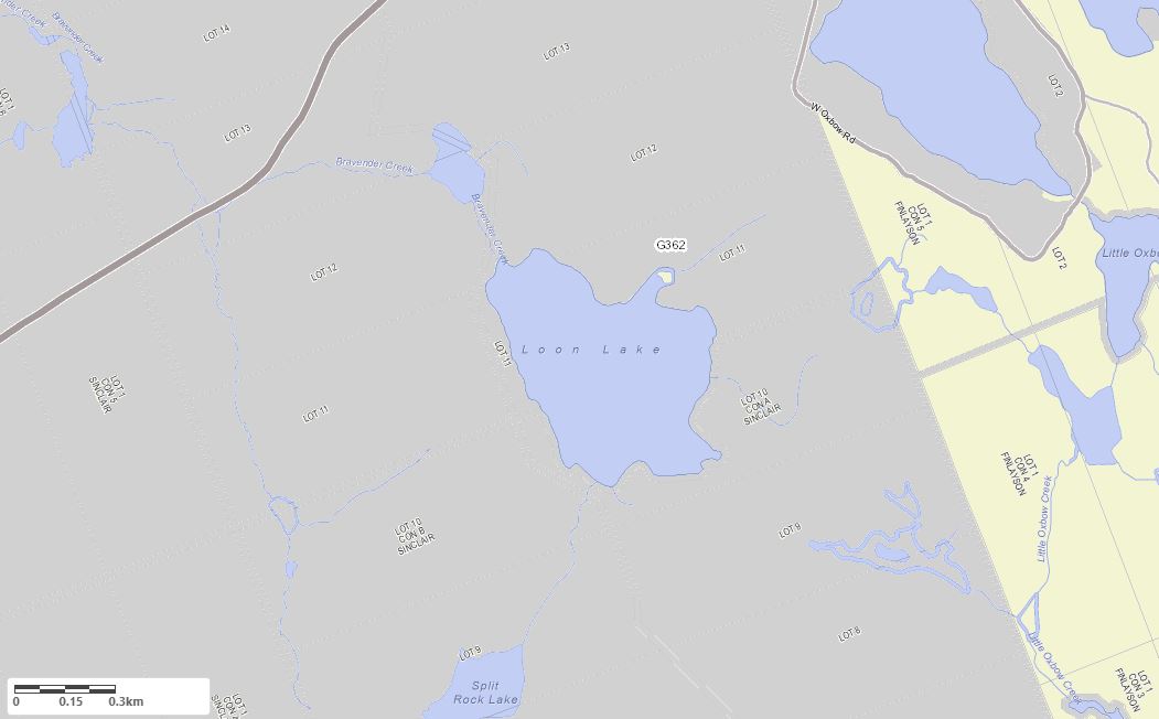 Loon Lake - (Lake of Bays)