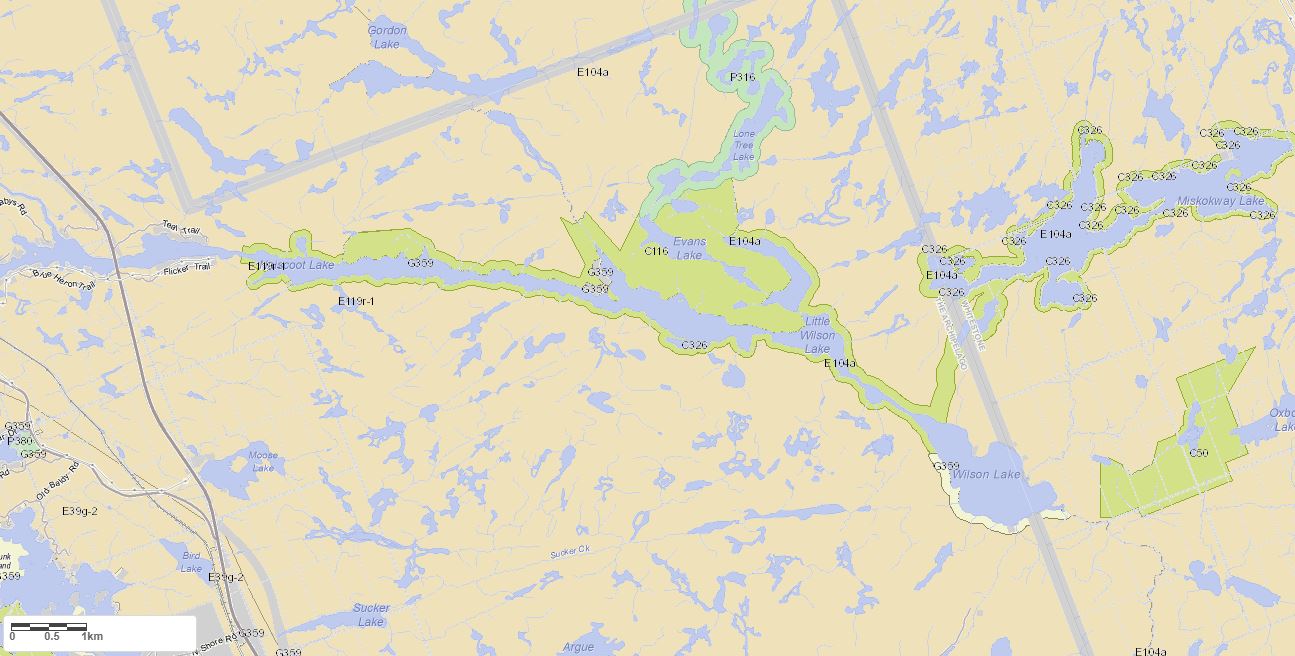 Naiscoot Lake - (Archipelago)