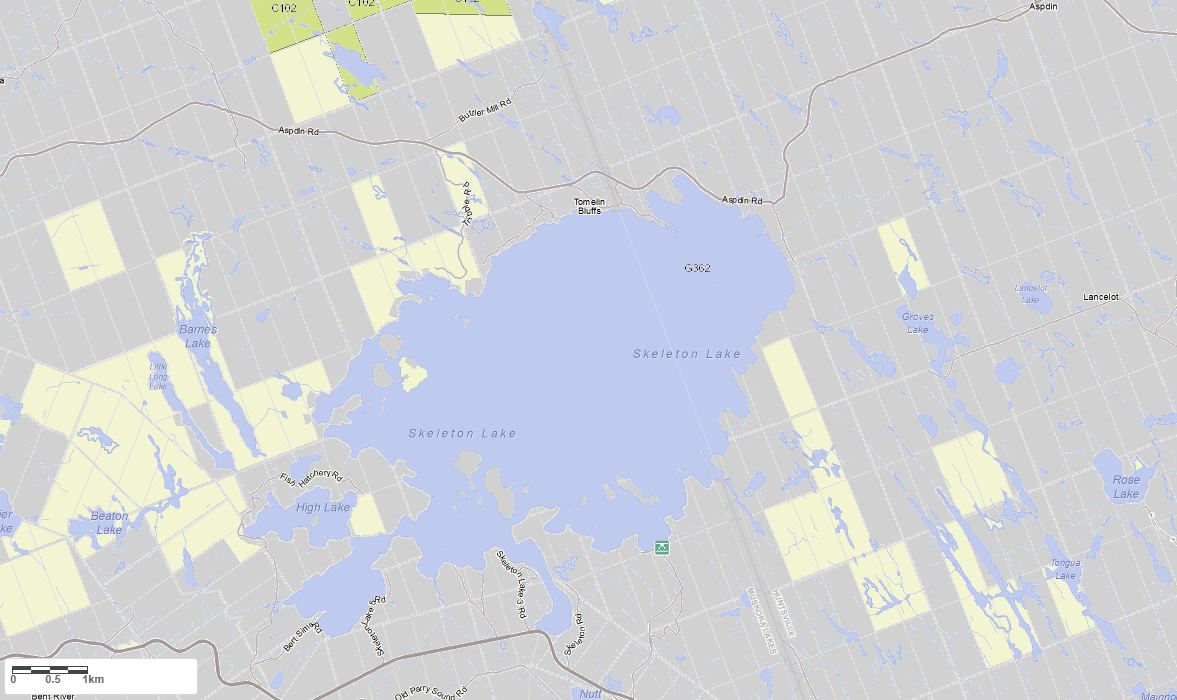 Rutter Lake - (Muskoka Lakes)