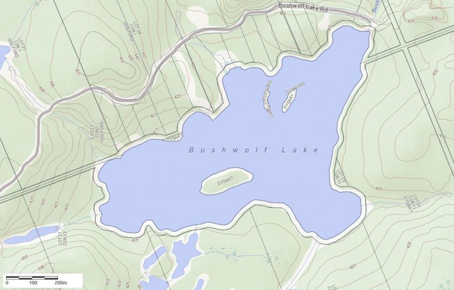 Bushwolf Lake - (Dysart et al)