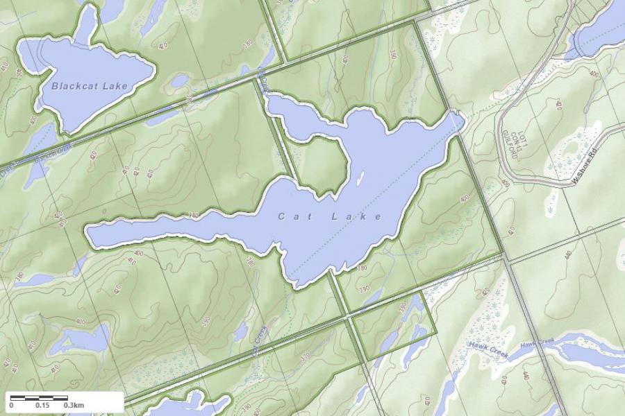 Cat Lake - (Algonquin Highlands)