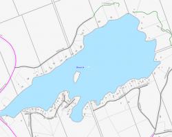 Bruce Lake - (Muskoka Lakes)